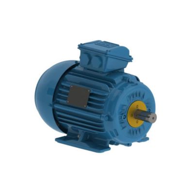 Motori Elettrici WEG in Pronta Consegna? Scoprili Qui!